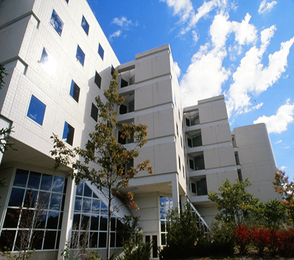 One Company Many Stories